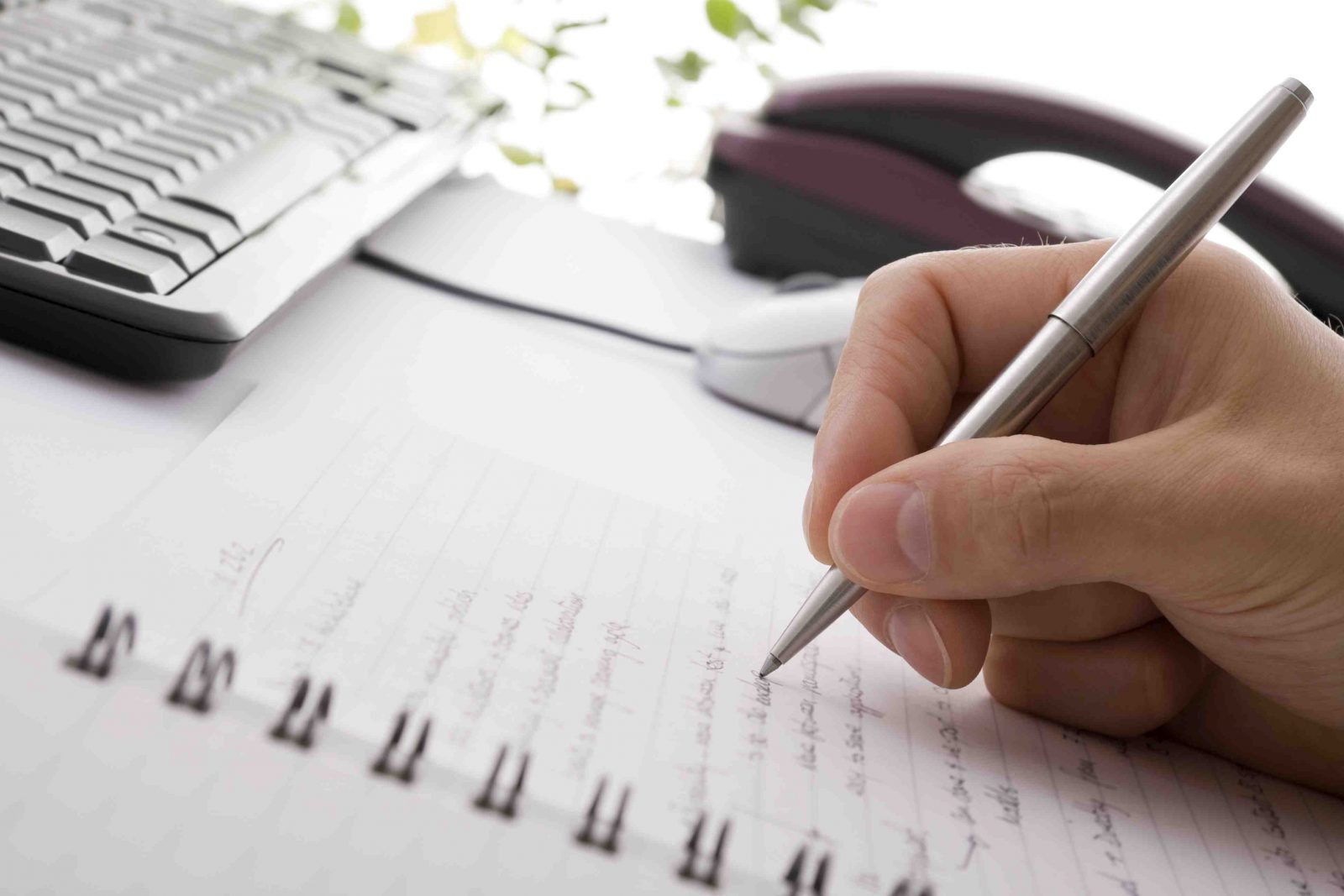 Exceptionalities In A Classroom Essay
