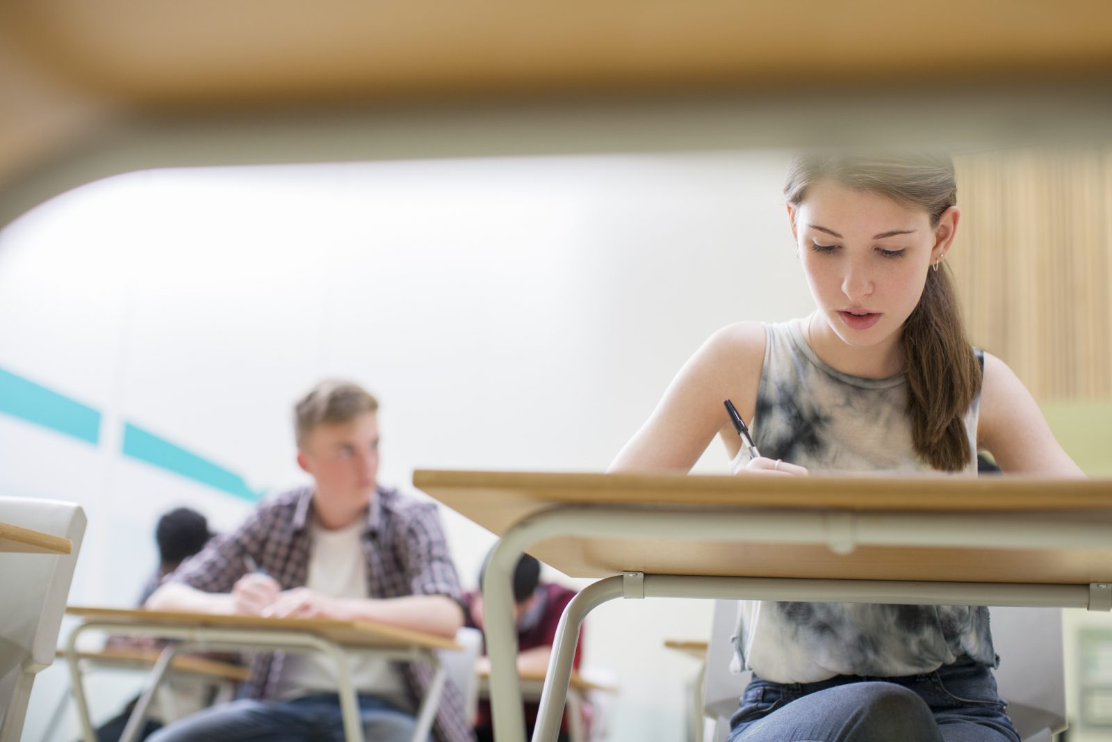 The Story of Amy Tan Essay